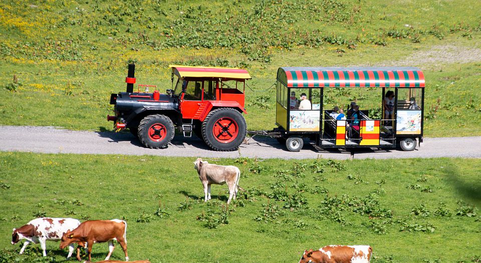 Zauchi Bummelzug Zauchensee an der Gamskogelhütte
